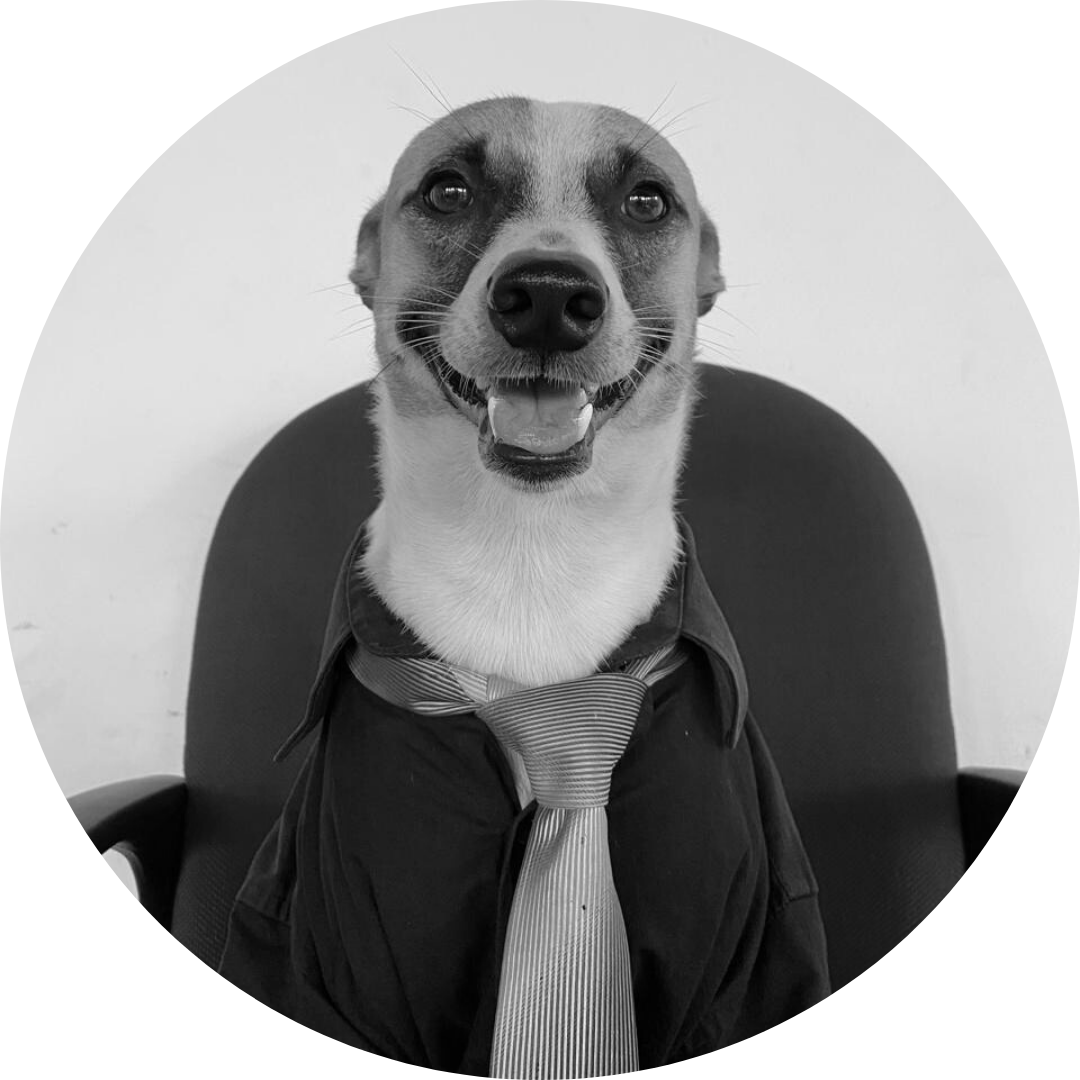 Viralpool - Creative Agency